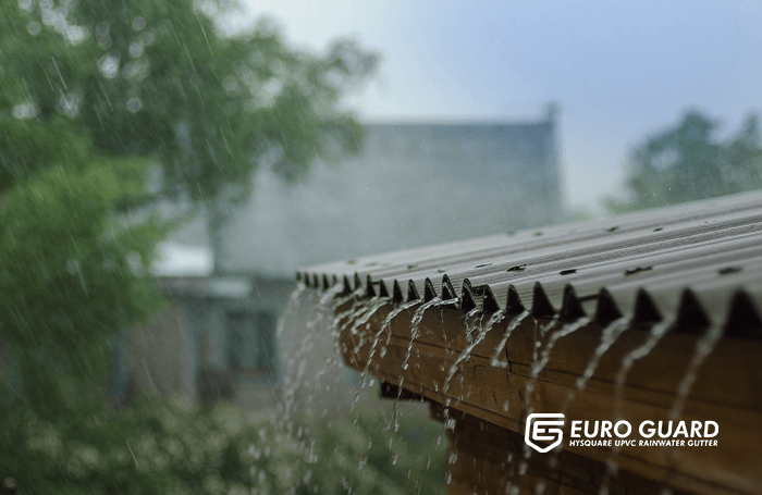 Rain Damage: Hidden Dangers & Smart Solutions to Save Big