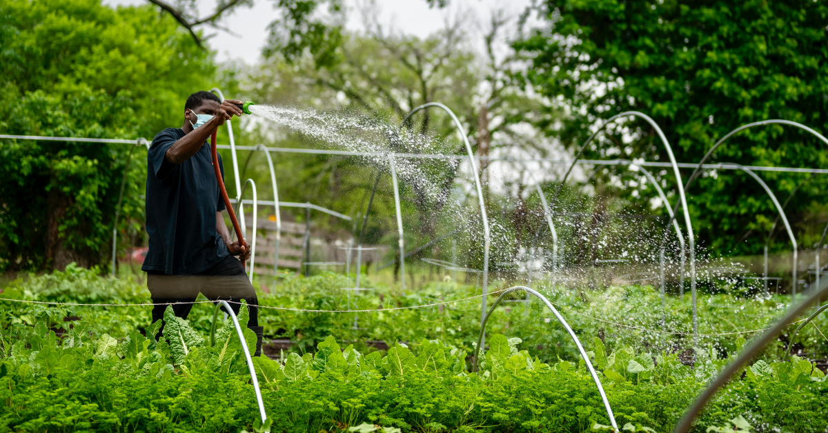 Groundwater Recharge: Methods, Benefits & Importance Explained