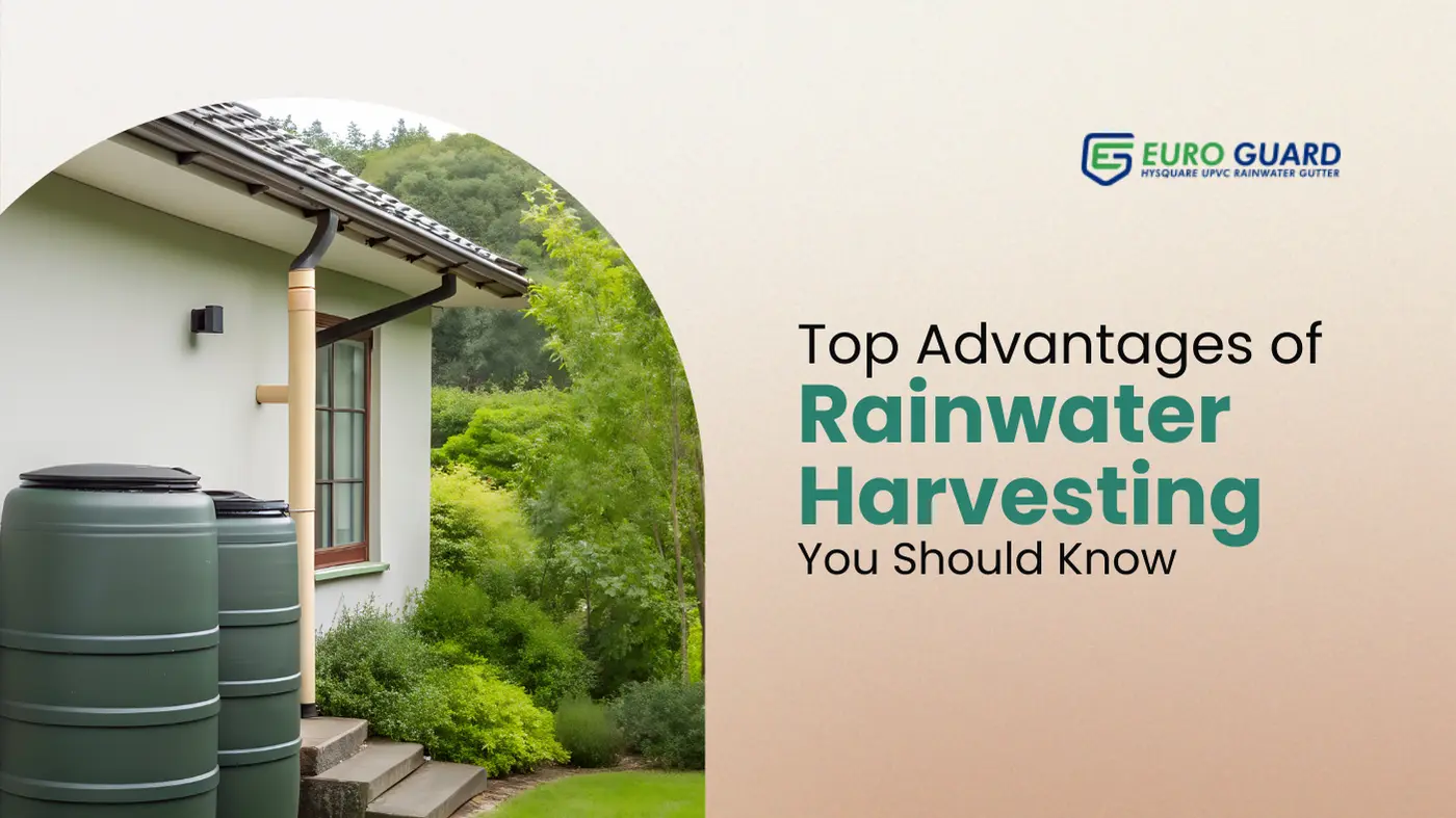 Rainwater Harvesting Benefits for Homeowners | Savings Guide
